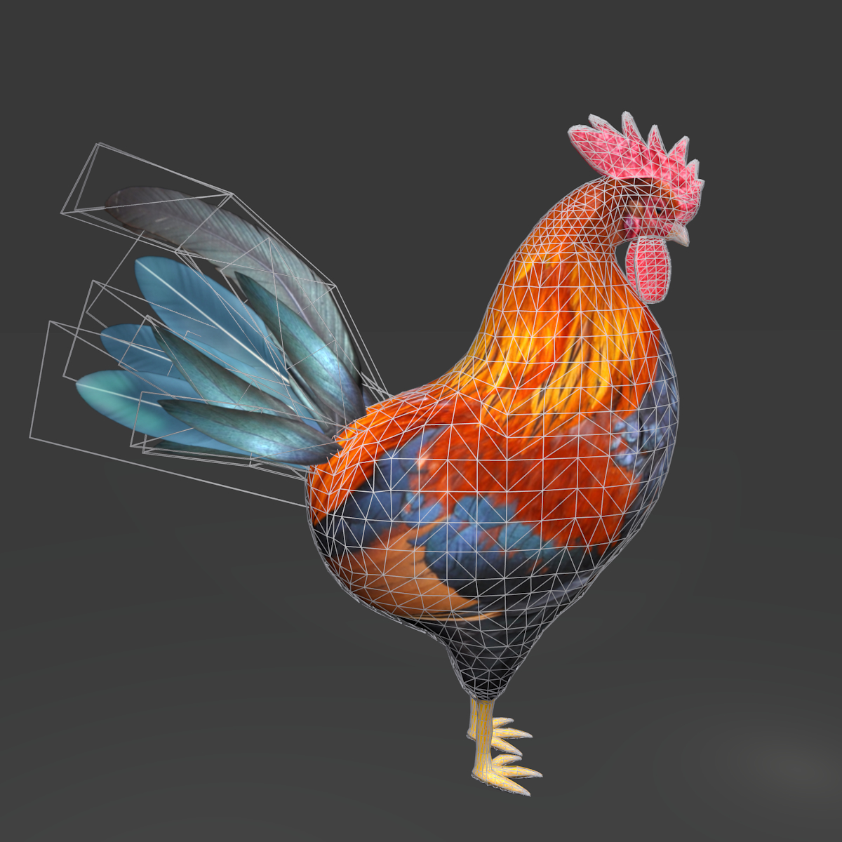 3d model rooster