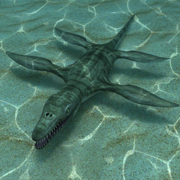 3d model pliosaurus rigged