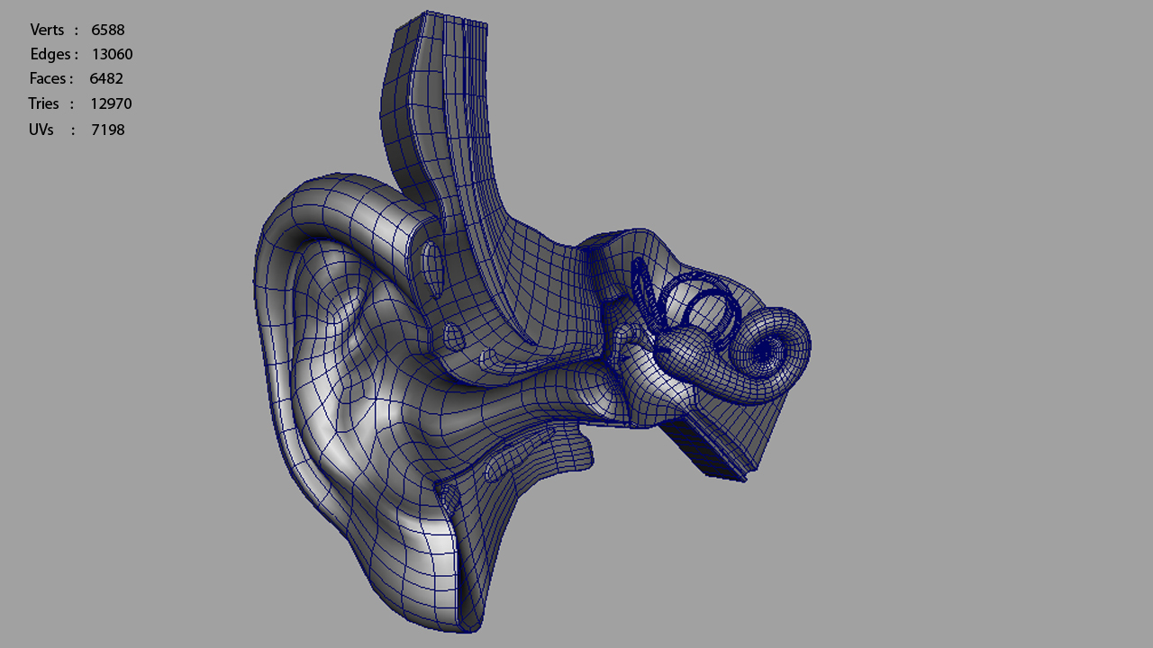 modelo 3d Oreja - TurboSquid 738457