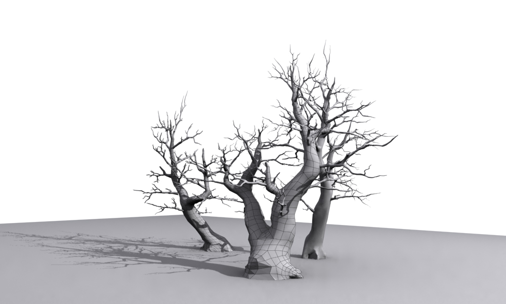 max trees modelled