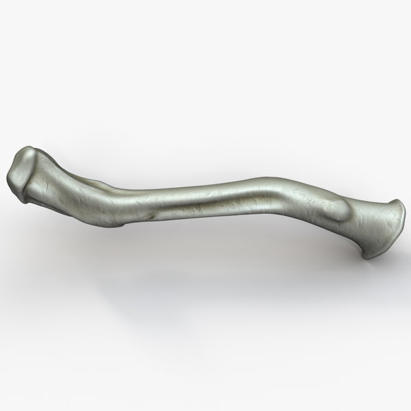 3d clavicle bone