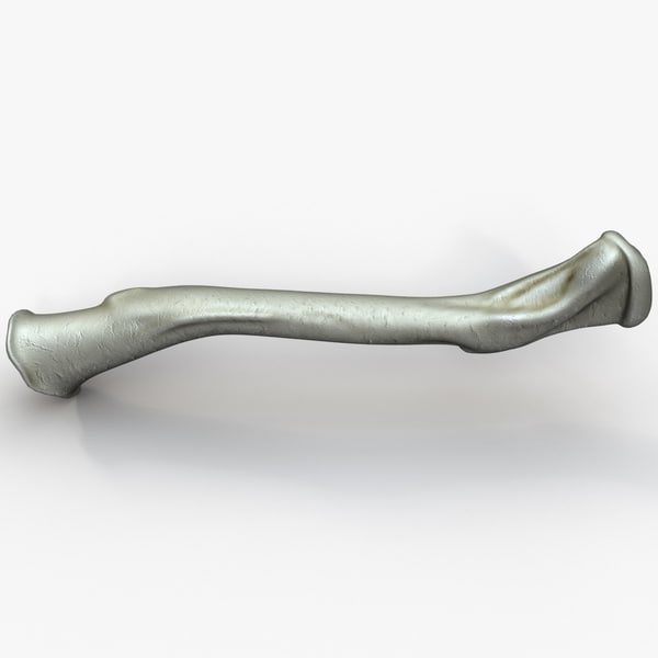 3d clavicle bone