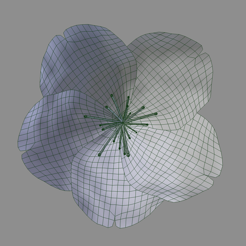 3d model flower cherry blossom