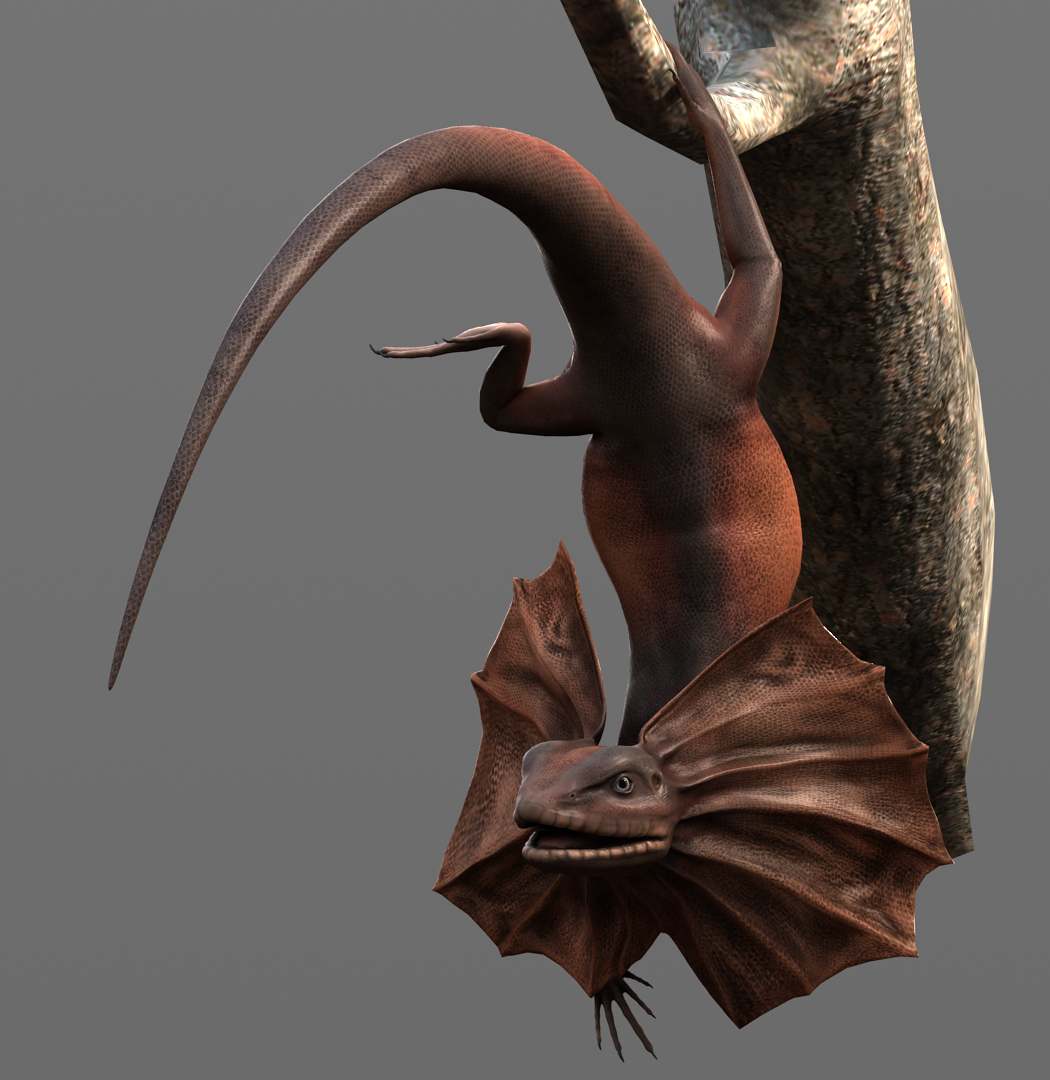 frilled lizard 3d obj