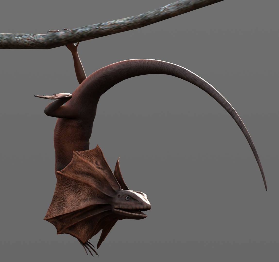 frilled lizard 3d obj