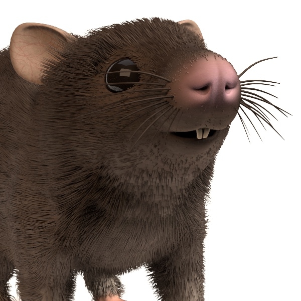 mouse mus musculus 3d 3ds