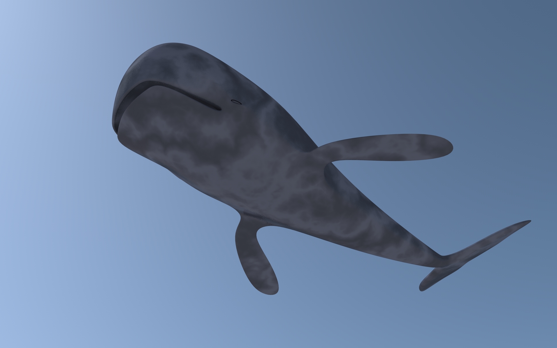 c4d white whale moby di