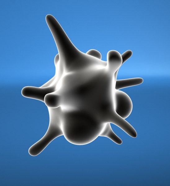 3d amoeba model