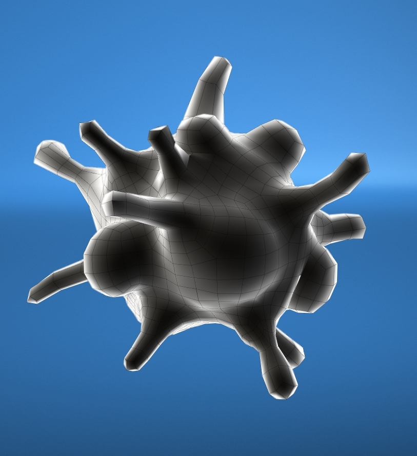 3d amoeba model