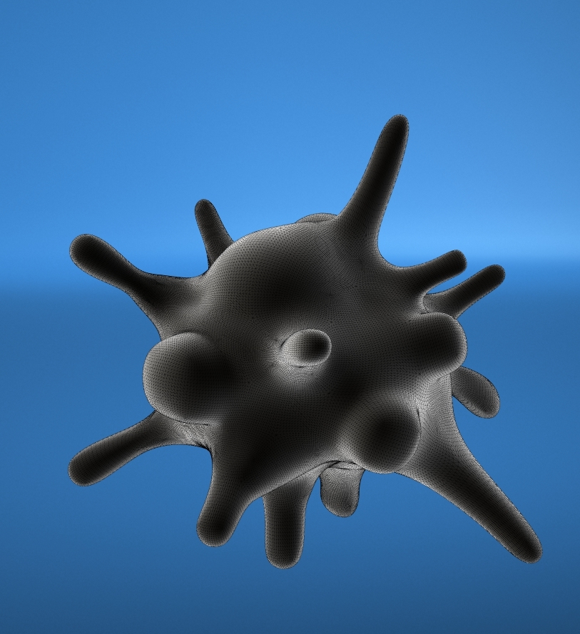 3d amoeba model
