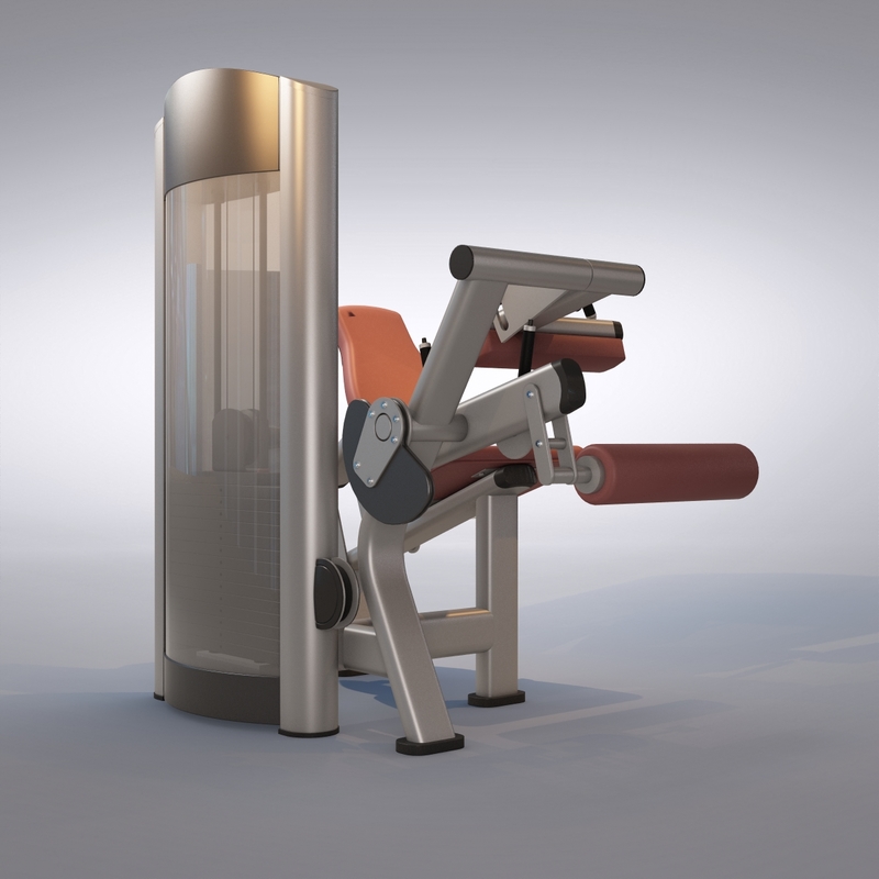 seated leg curl machine max