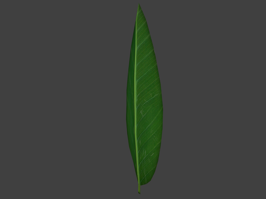 green leaf 3d model