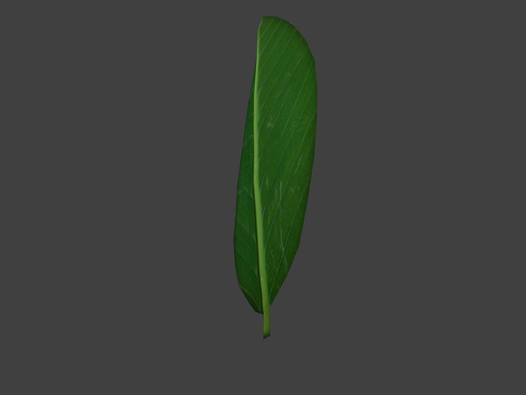 green leaf 3d model