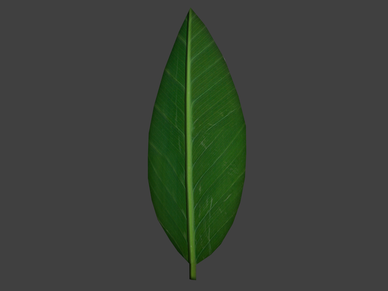 green leaf 3d model