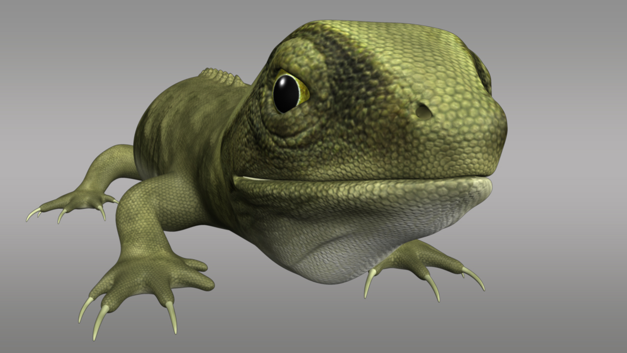3d tuatara sphenodon punctatus lizards