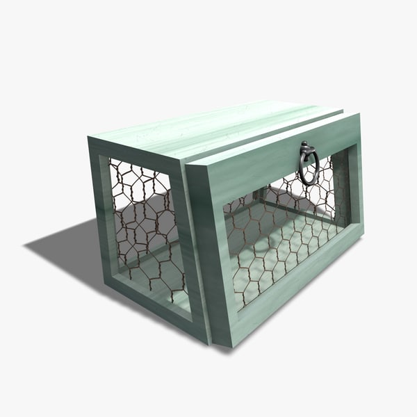 3d chicken wire box model