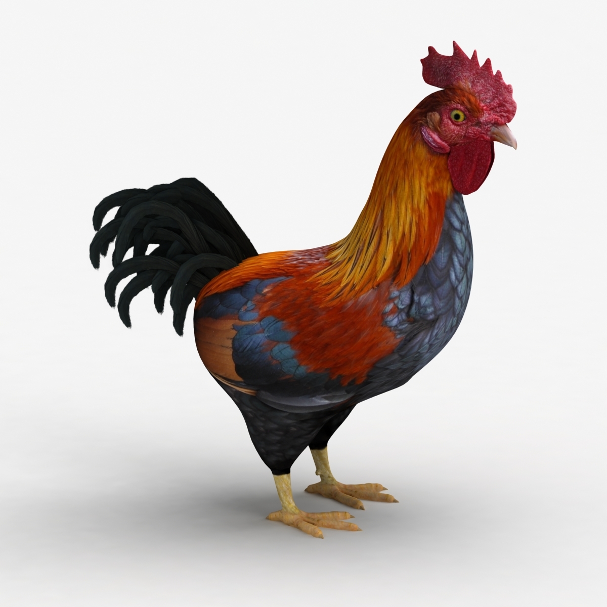 dugm02 rooster 3d dxf