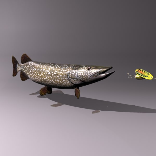 3d model northern pike