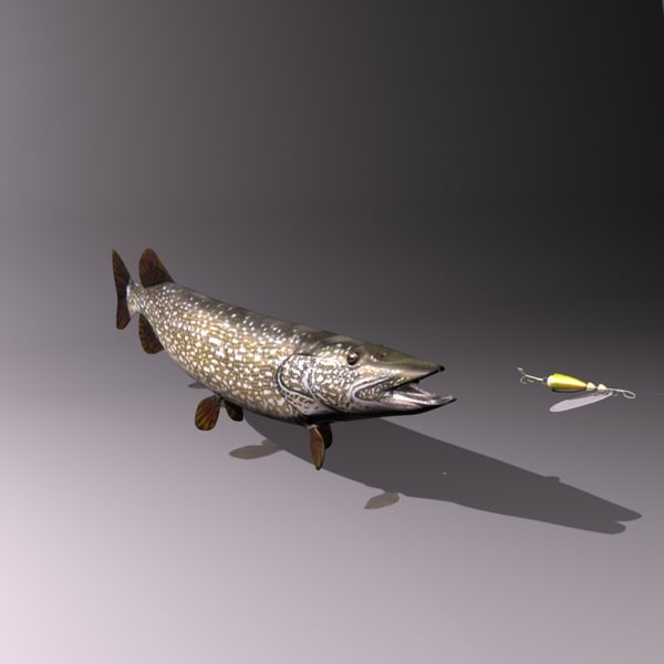 3d model northern pike