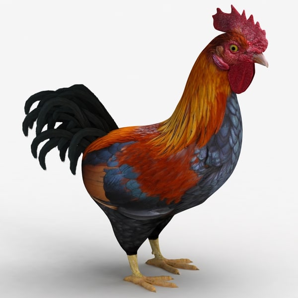 dugm02 rooster 3d dxf
