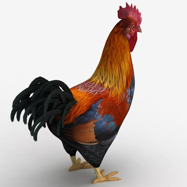 dugm02 rooster 3d dxf