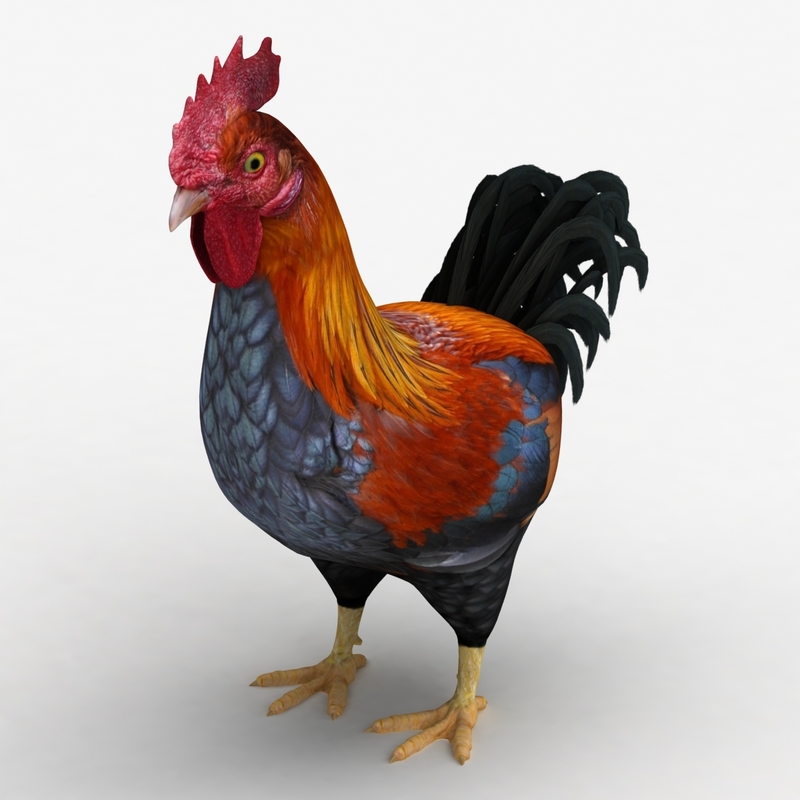 dugm02 rooster 3d dxf