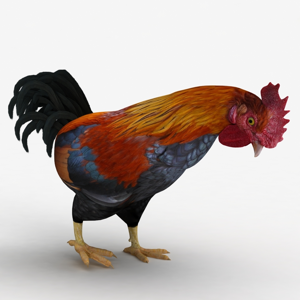 dugm02 rooster 3d dxf