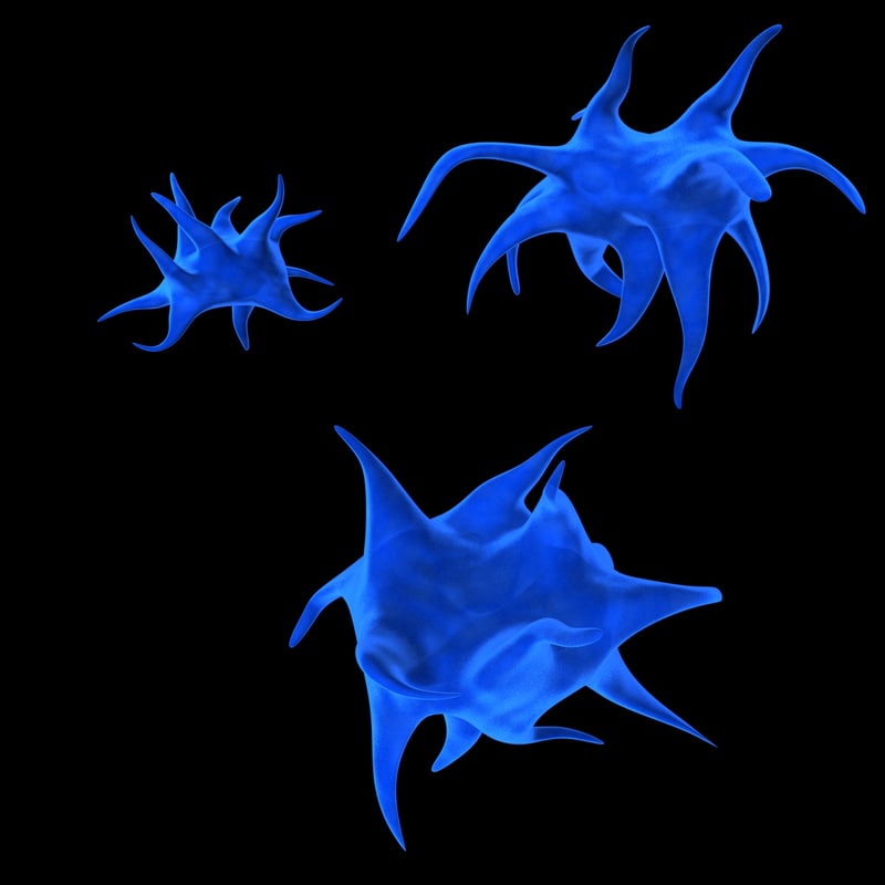 thrombocyte max