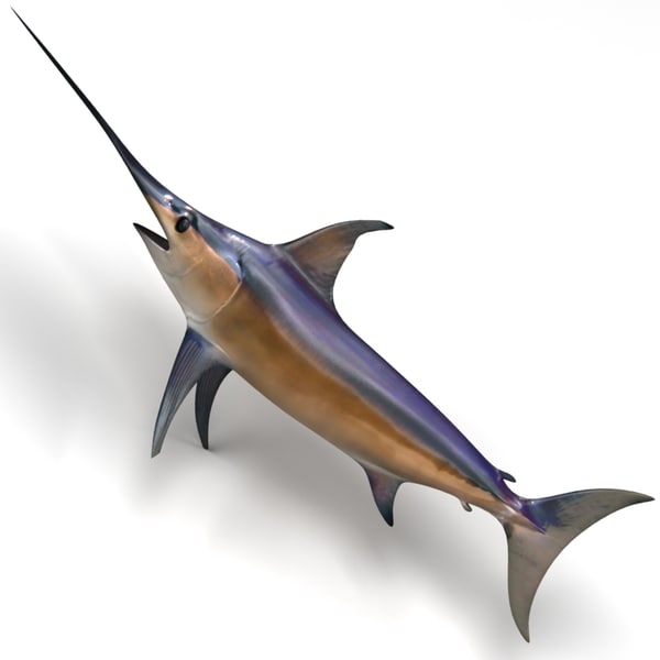 3ds max swordfish fish