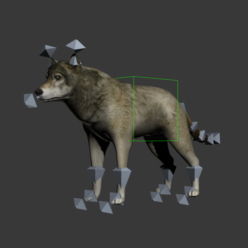 3ds wolf rigged animation