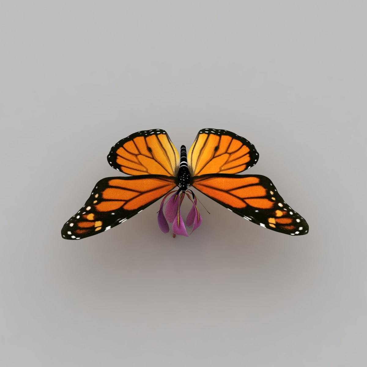 monarch butterfly flower animation 3d obj