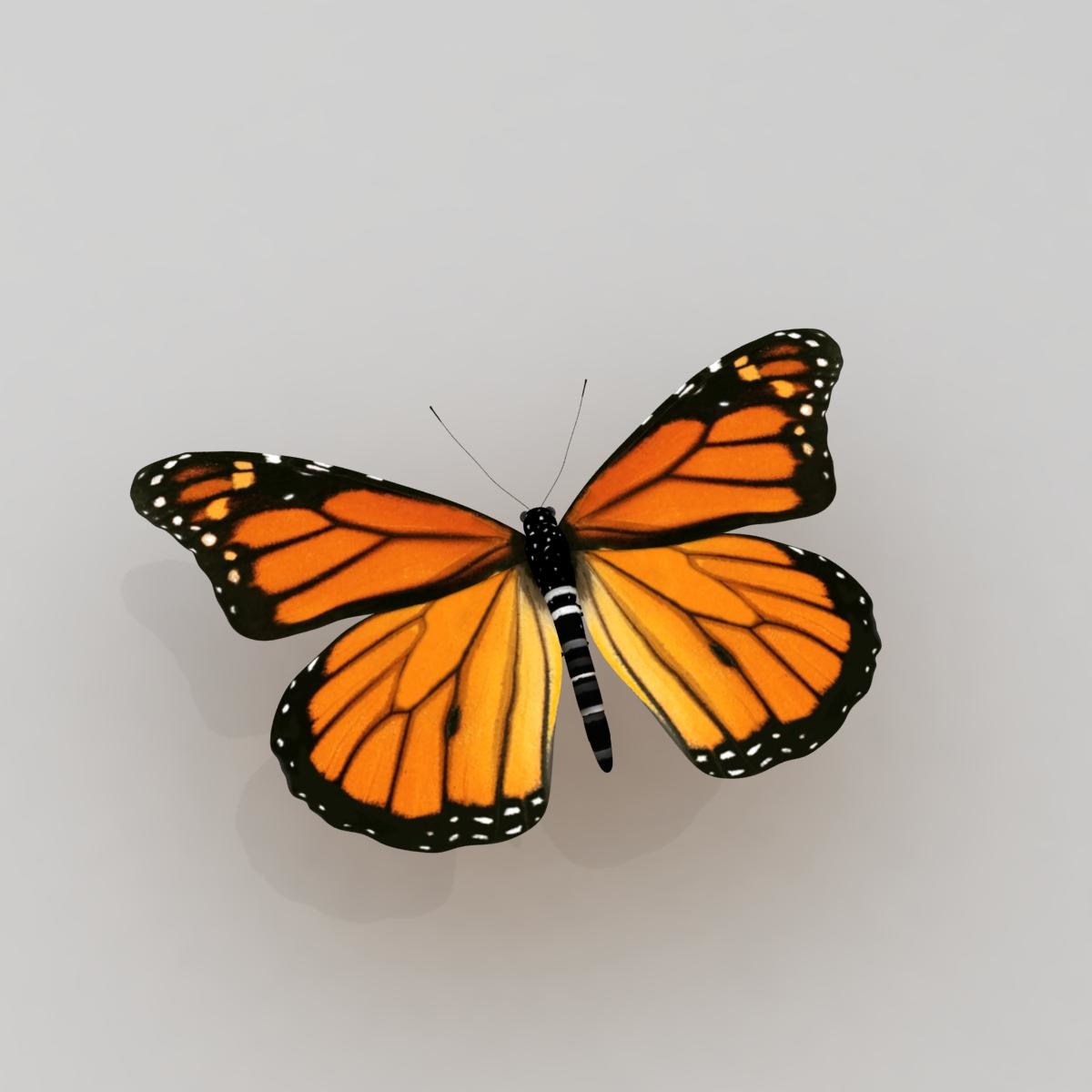 monarch butterfly flower animation 3d obj