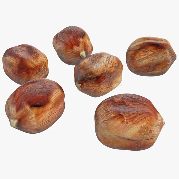 Chilenische Haselnuss 3D-Modell - TurboSquid 748933