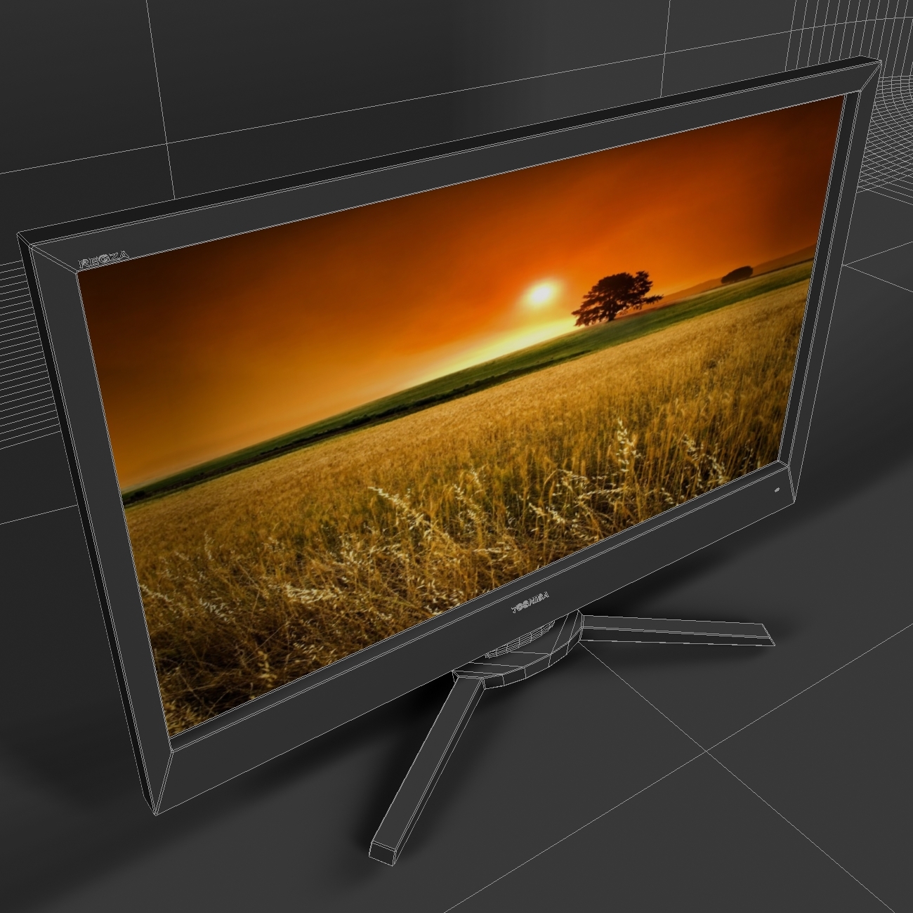 3ds max lcd tv