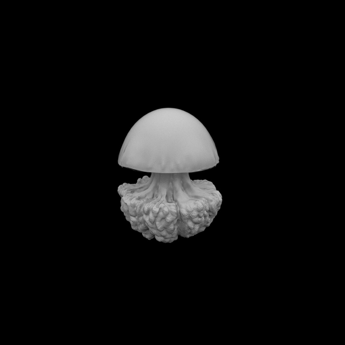 3d model jellyfish jelly fish