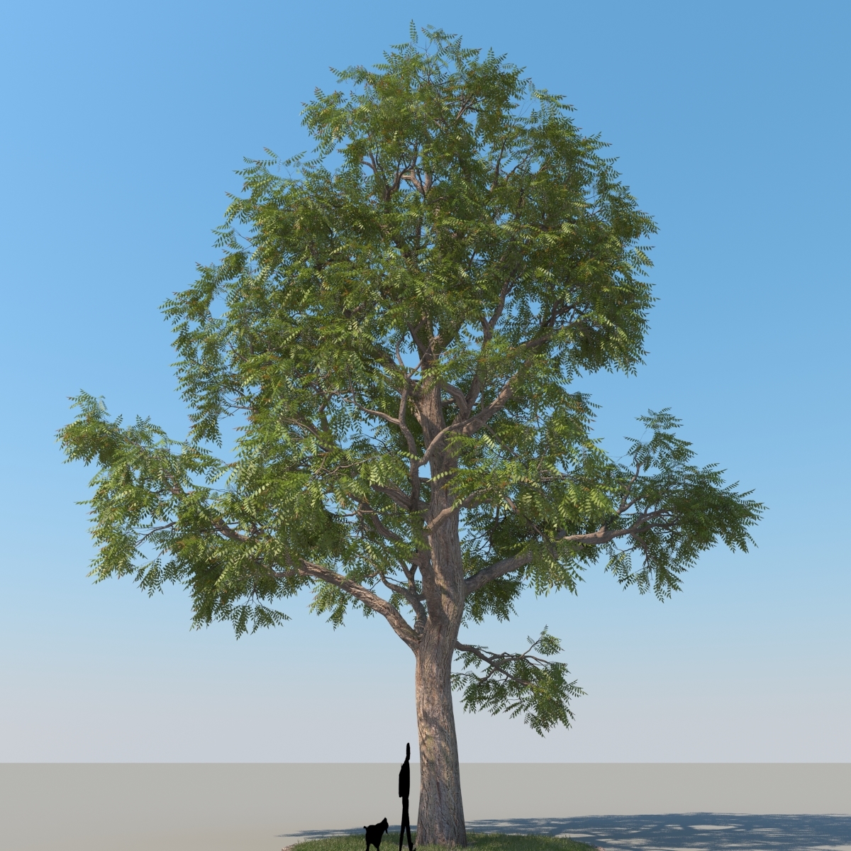 realistic robinia trees max
