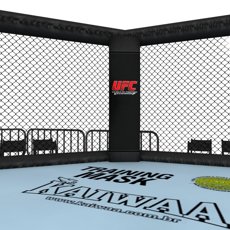 ufc octagon ring 3d model