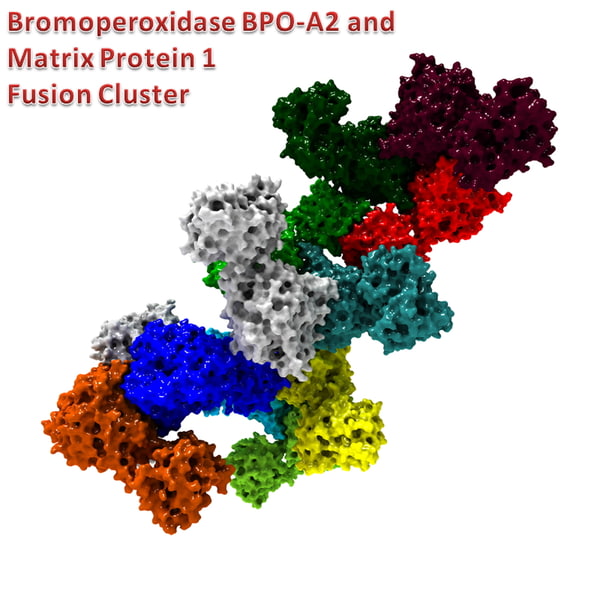 3d model 20 proteins