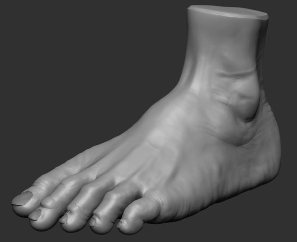 Foot 3D Models for Download | TurboSquid
