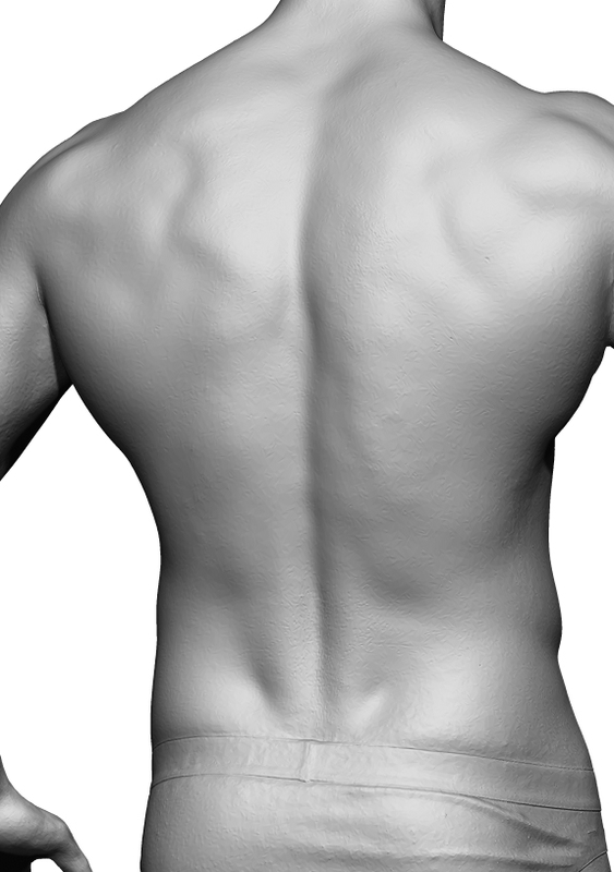 3d model body scan athletic male