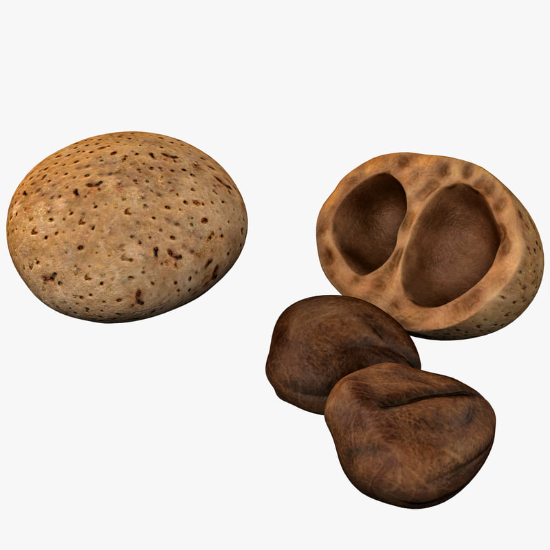 max mongongo nuts