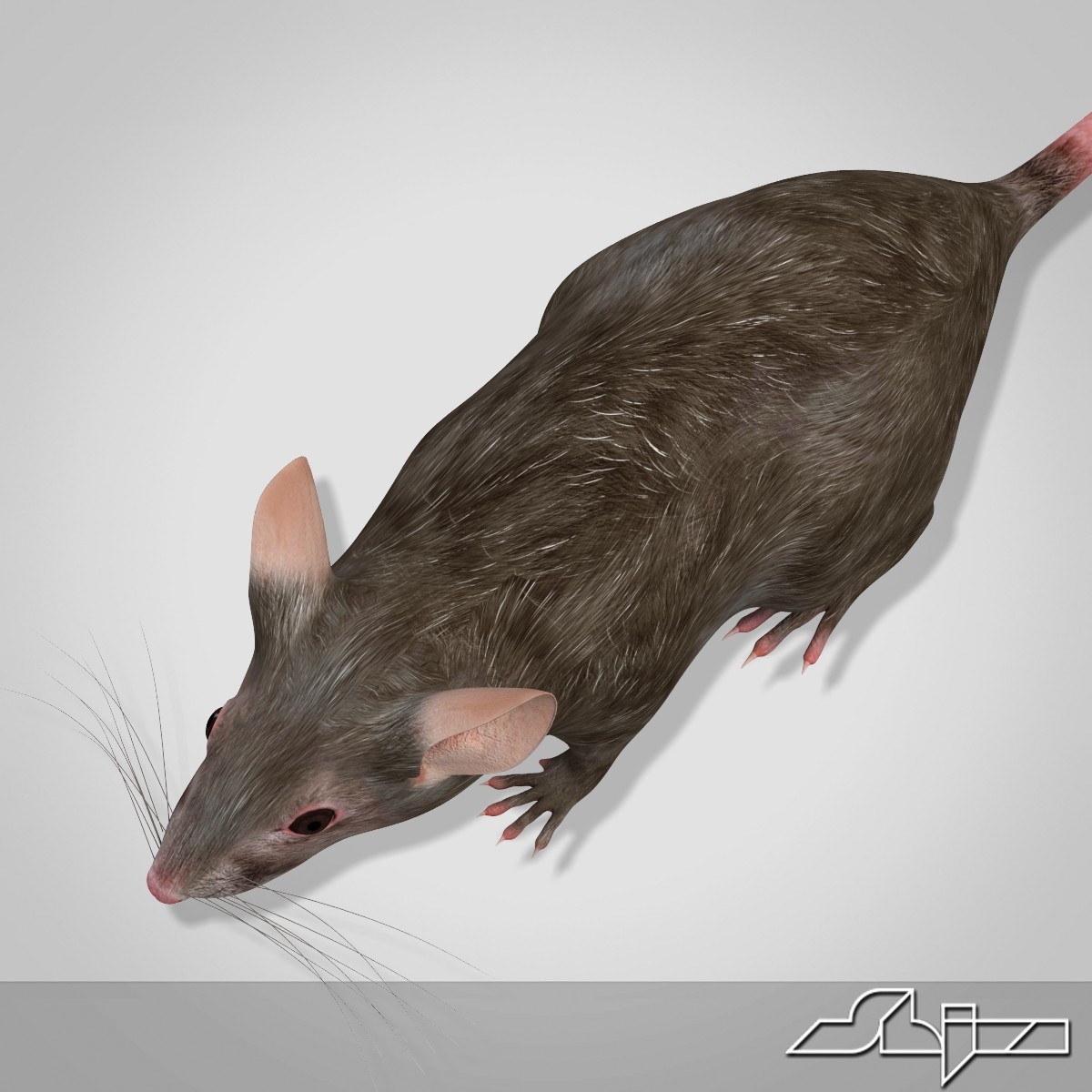 little mouse 2 3d 3ds