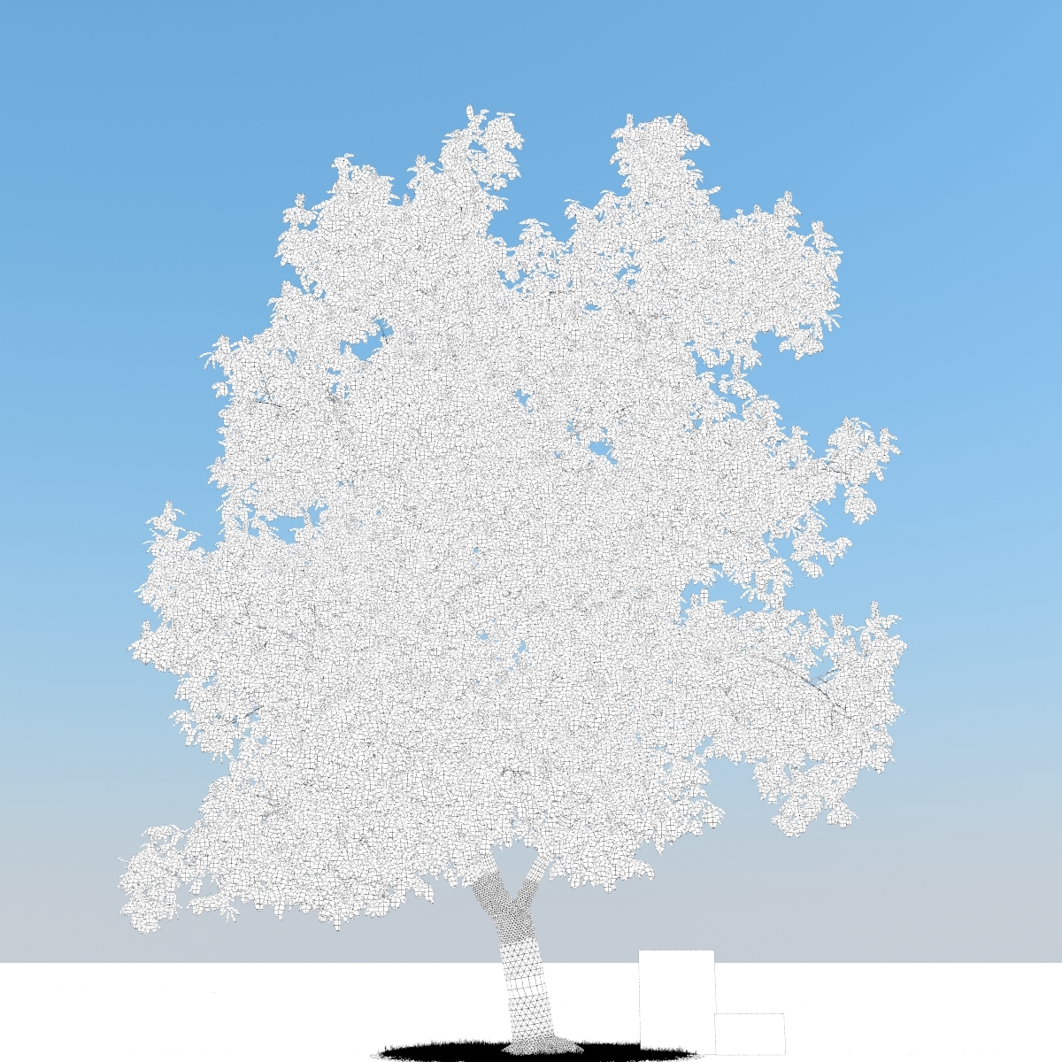 3d realistic chestnut trees