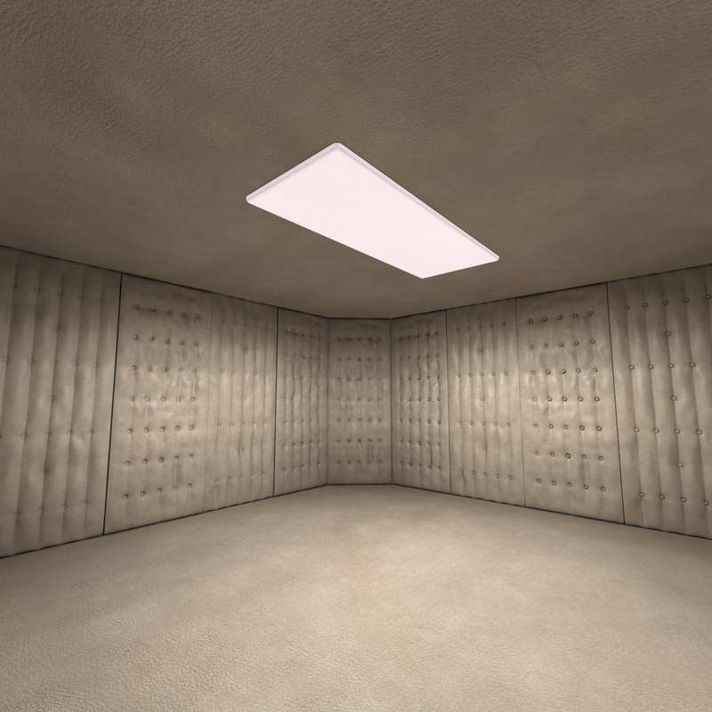 psychiatric room max