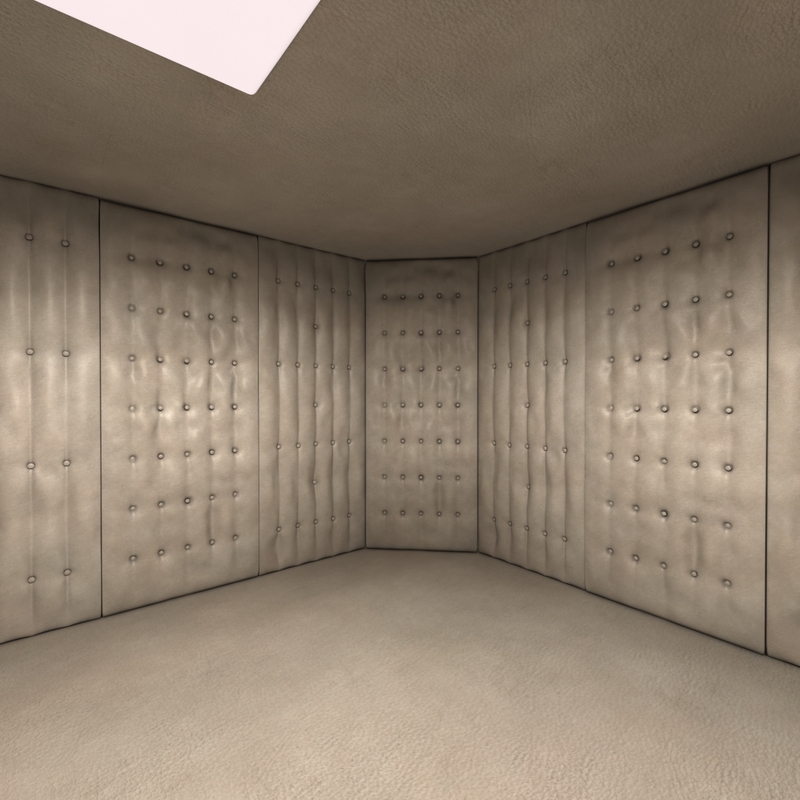 psychiatric room max