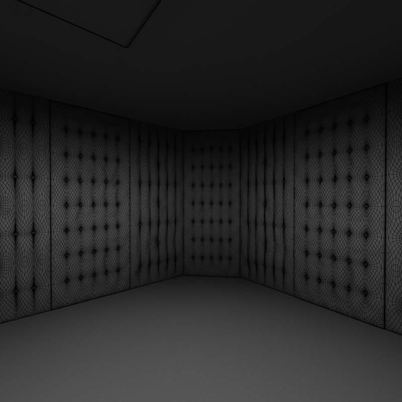 psychiatric room max