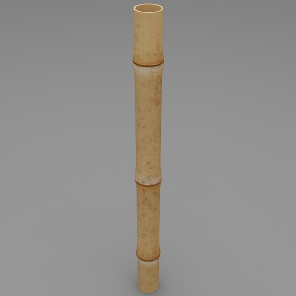 bamboo stem 3d model