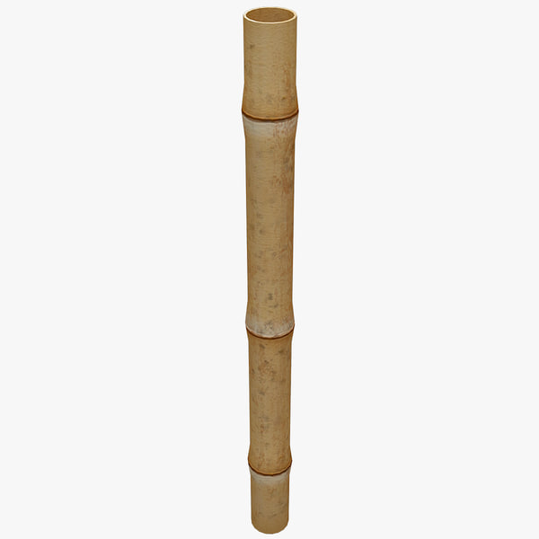 bamboo stem 3d model