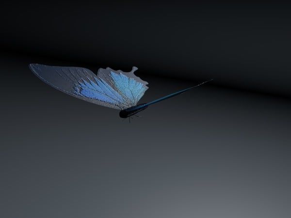3d blue butterfly model
