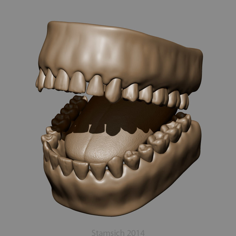 sculpt teeth 3d max